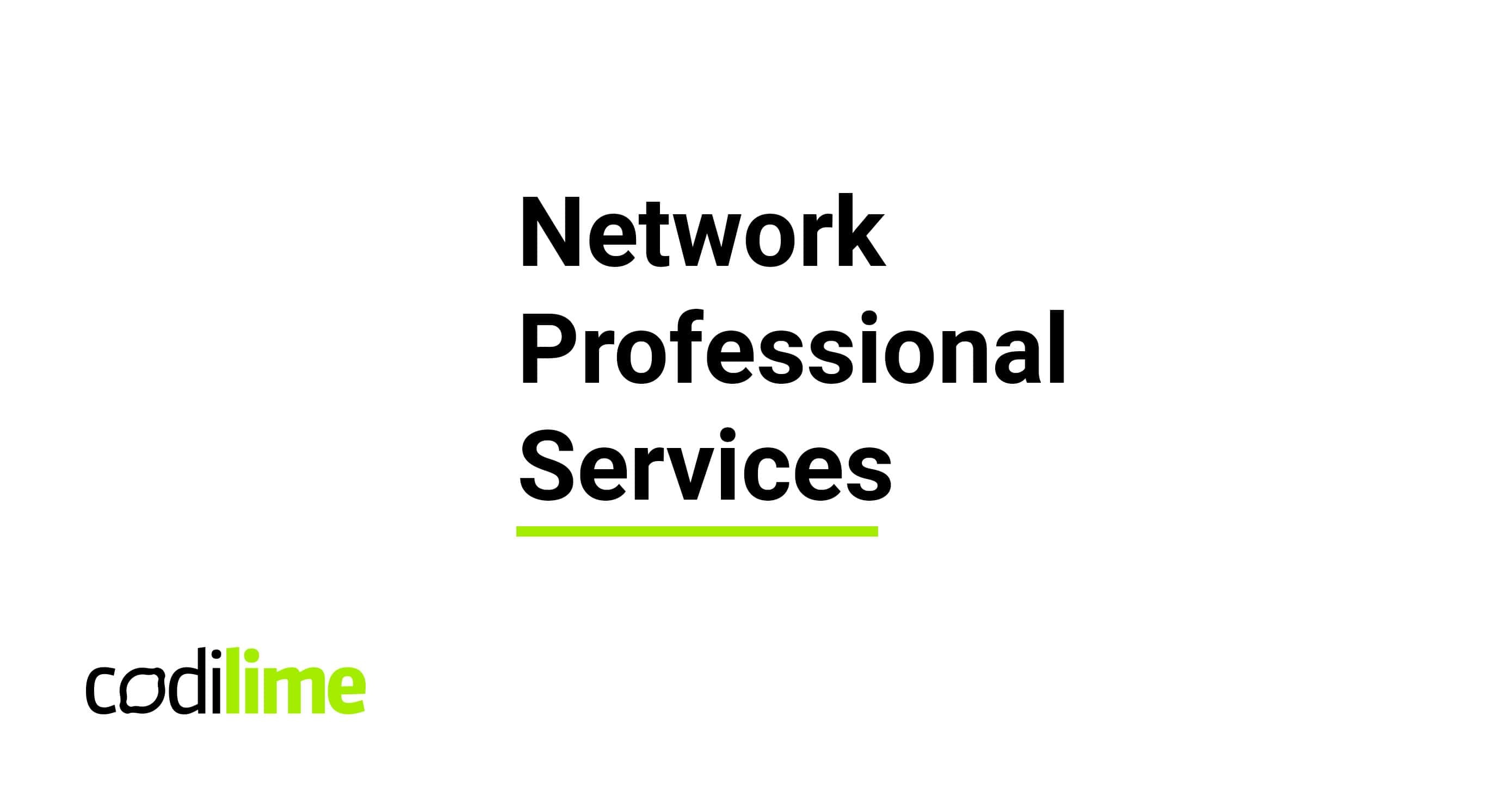 Network Professional Services Company - CodiLime