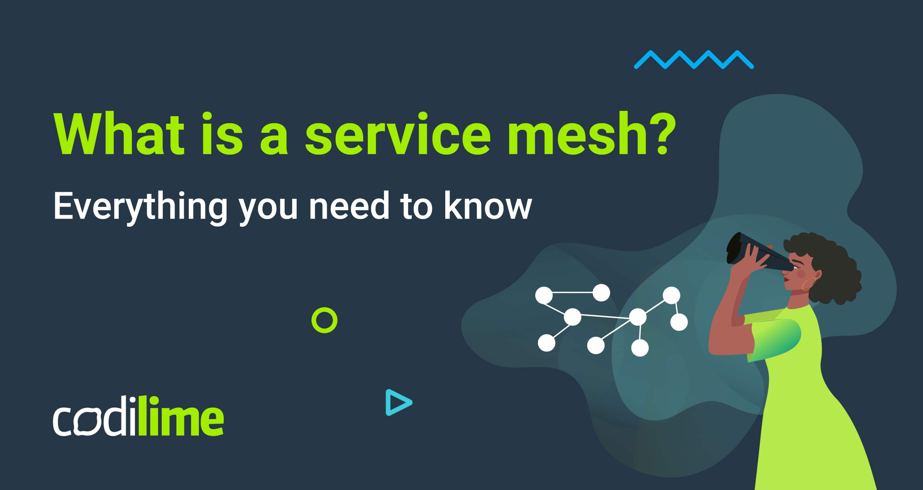 What is a service mesh — everything you need to know - CodiLime